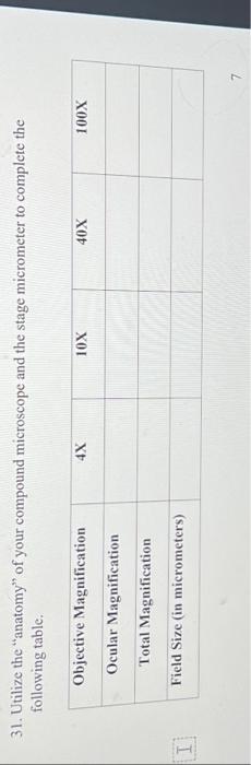 Solved Utilize the "anatomy" of your compound microscope and | Chegg.com