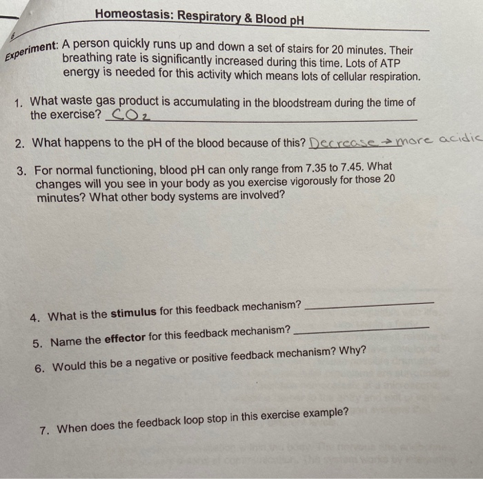 Solved Homeostasis: Respiratory & Blood pH Experiment: A | Chegg.com