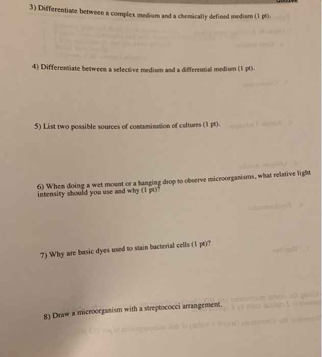 Solved mate between a complex medium and a chemically | Chegg.com