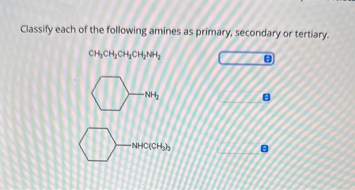 Solved Classify each of the following amines as primary, | Chegg.com