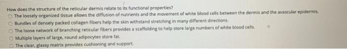Solved 1 2 How does the structure of the reticular dermis | Chegg.com