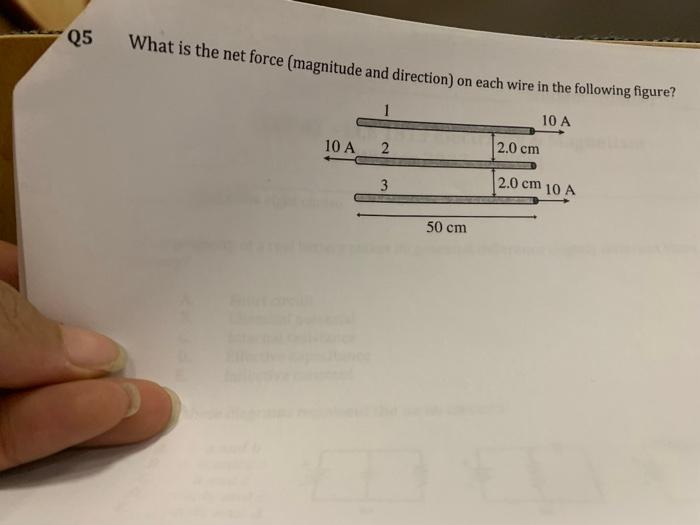 Solved What is the net force (magnitude and direction) on | Chegg.com