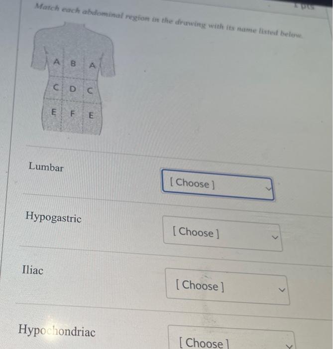 Solved March eoch abdomanal region in the drunitig with its | Chegg.com
