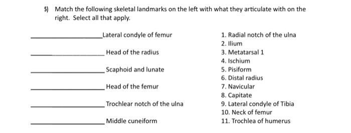 Solved 5) Match the following skeletal landmarks on the left | Chegg.com