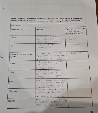 Activity 2: Using the qu code to your textboak an | Chegg.com