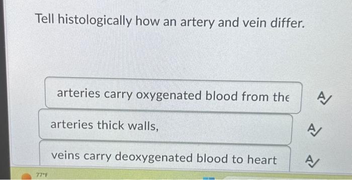 Solved Tell histologically how an artery and vein differ. | Chegg.com