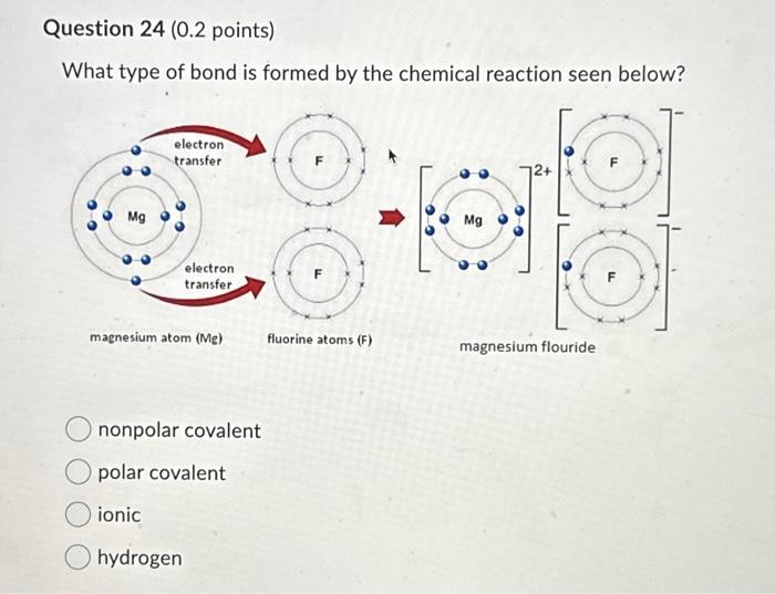 Solved Question 24 (0.2 points) What type of bond is formed | Chegg.com