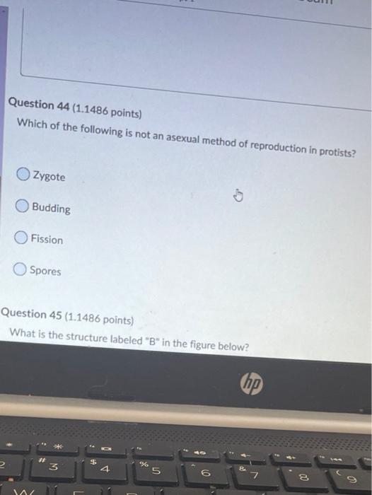 Solved Question 44 (1.1486 points) Which of the following is | Chegg.com