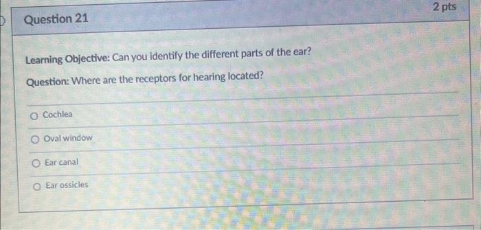 Solved Learning Objective: Can you identify the different | Chegg.com Solved Learning Objective: Can you identify the different | Chegg.com