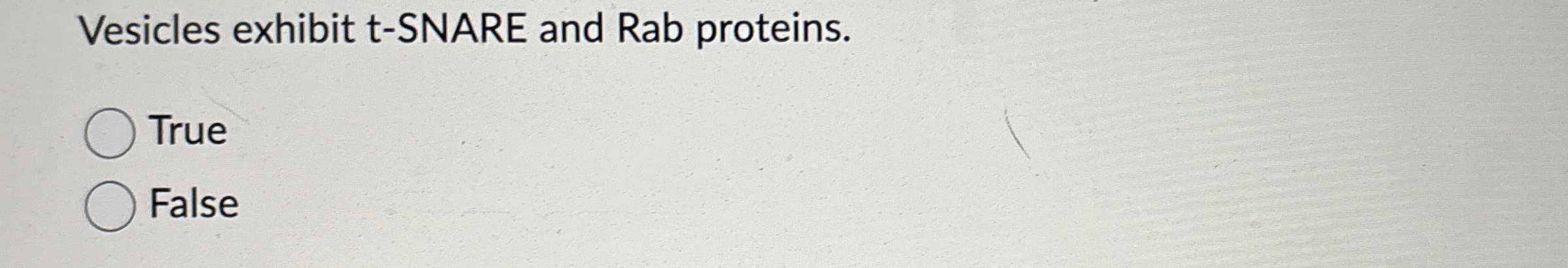 Solved Vesicles exhibit t-SNARE and Rab proteins.TrueFalse | Chegg.com