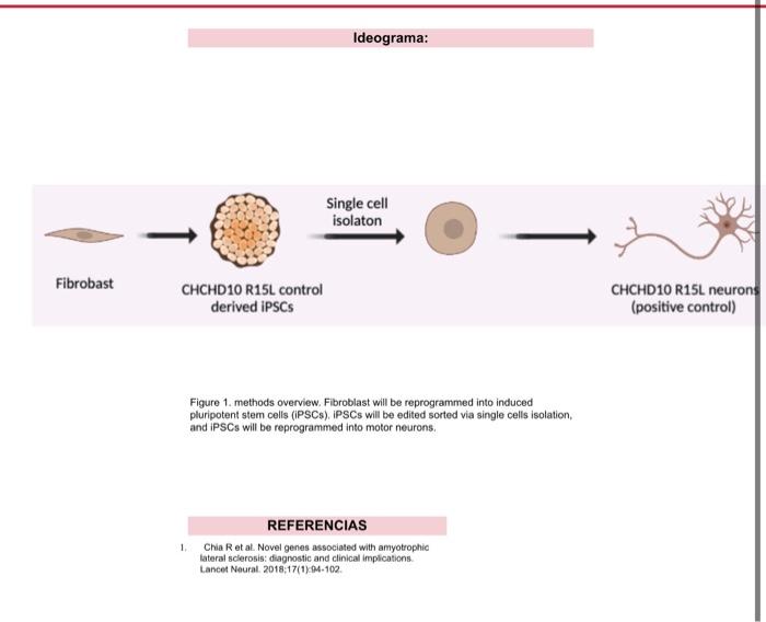 have yo make an ideogram with this information but | Chegg.com