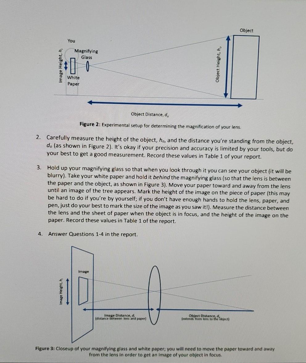 Solved Procedure Part 1 Magnification And Focal Length Of A Chegg