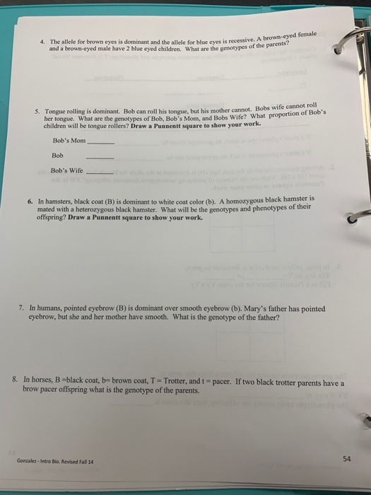 Solved Genetics Problem Set 1 Date Name Complete This Chegg