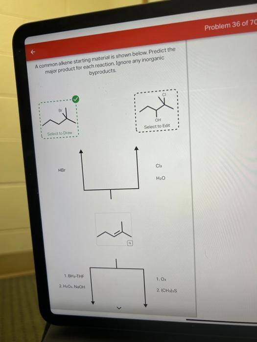 Solved A common alkene starting material is shown below. | Chegg.com