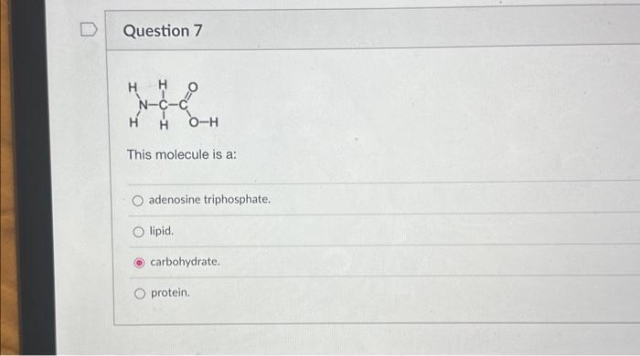 Solved This molecule is a: adenosine triphosphate. lipid. | Chegg.com