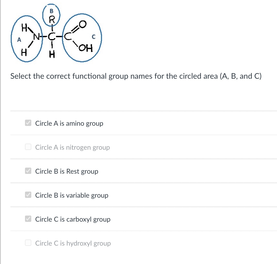 Solved Select the correct functional group names for the | Chegg.com