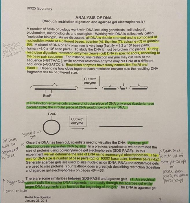 Restriction digestion and agarose gel electrophoresis | Chegg.com