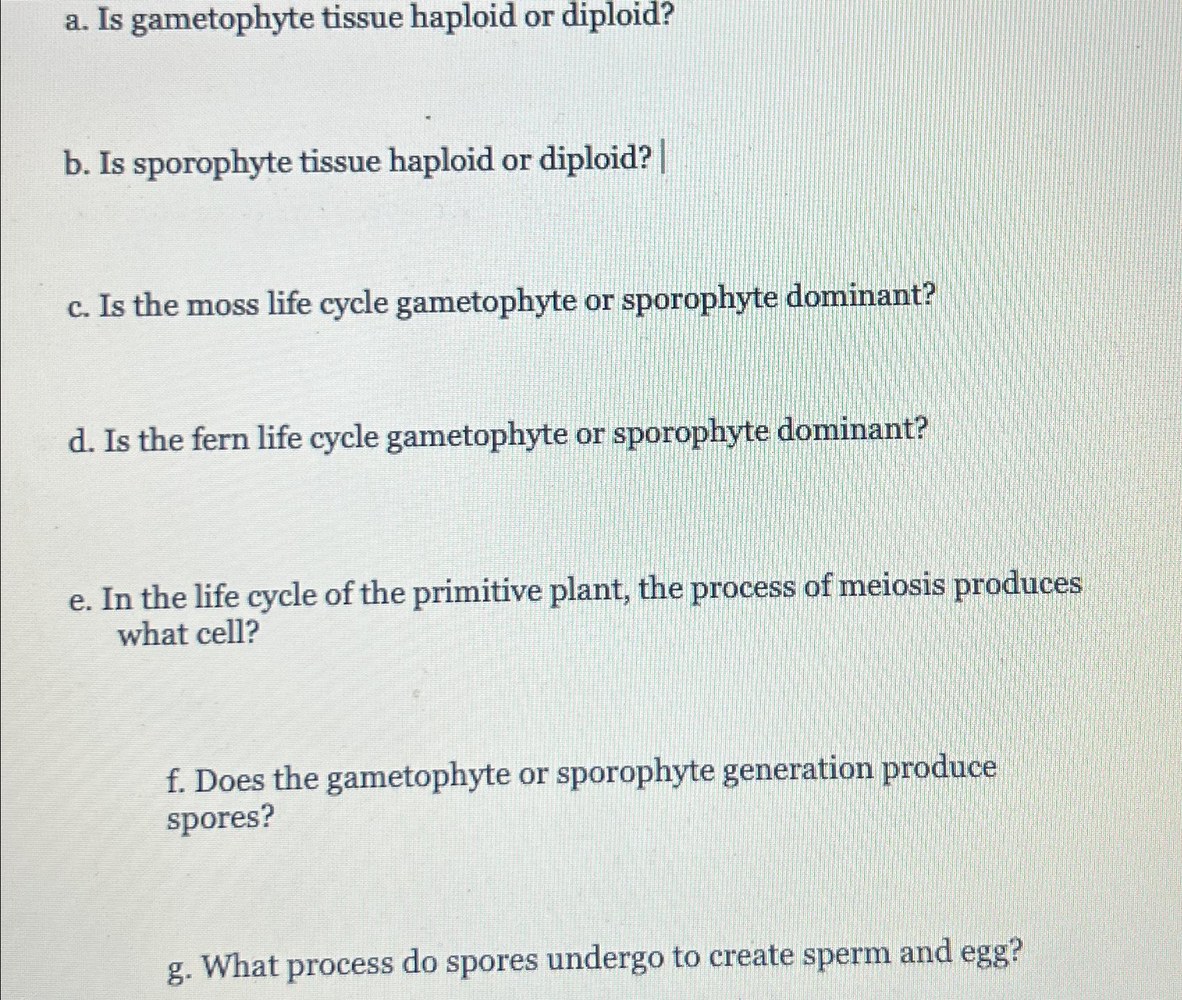 Solved a. ﻿Is gametophyte tissue haploid or diploid?b. ﻿Is | Chegg.com