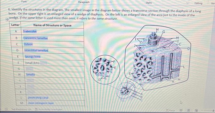 Solved 6. Identify the structures in the diagram. The | Chegg.com