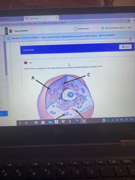 Solved Top Hat Test | Chegg.com