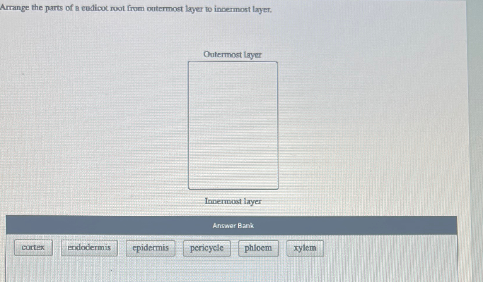 Arrange the parts of a eudicot root from outermost | Chegg.com