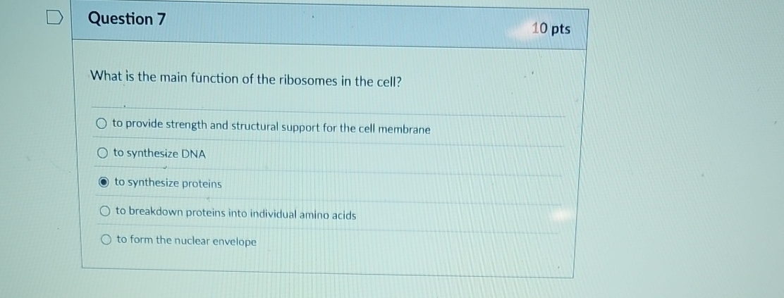 Solved Question 7What is the main function of the ribosomes | Chegg.com