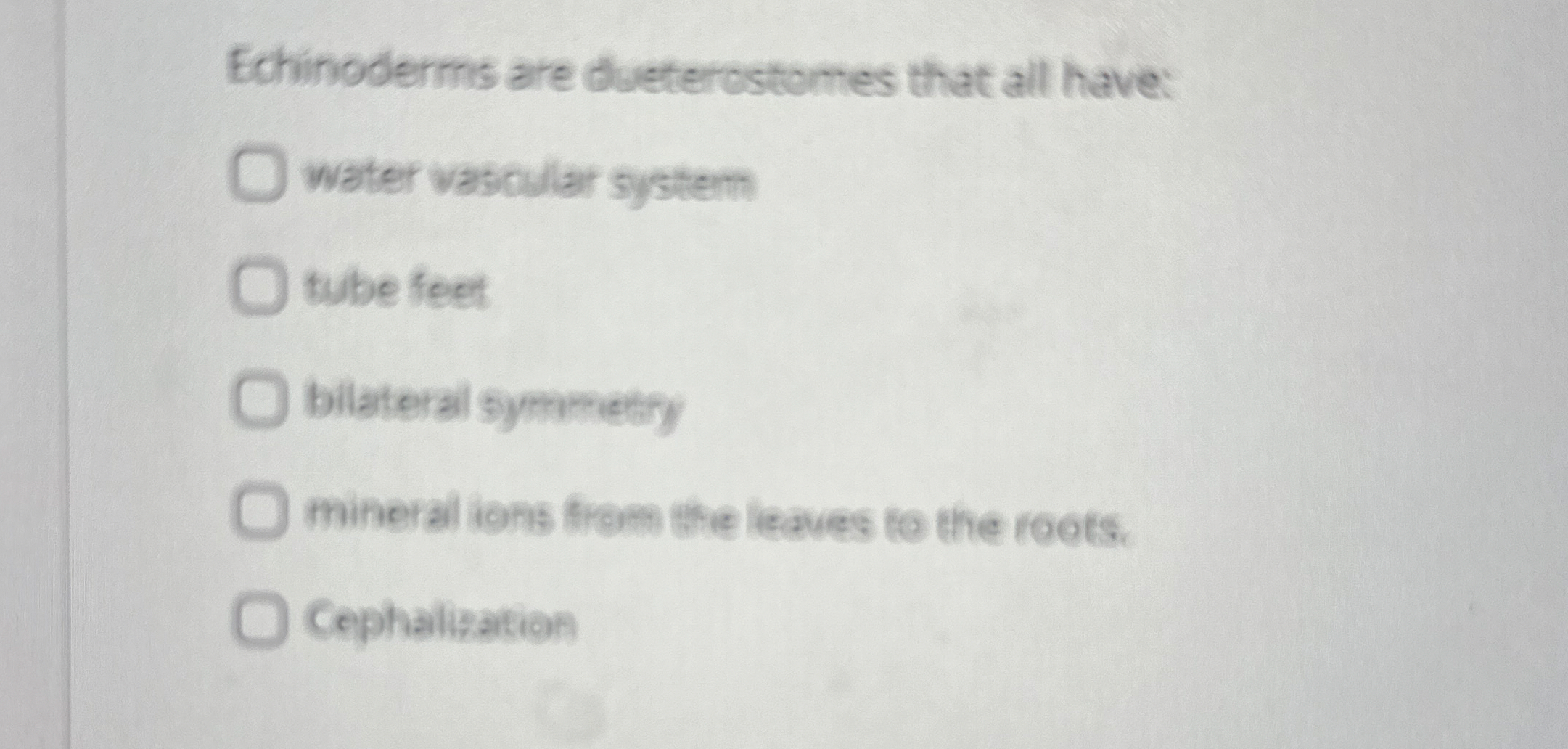 Solved Echinoderms are dueterostomes that all have:water | Chegg.com
