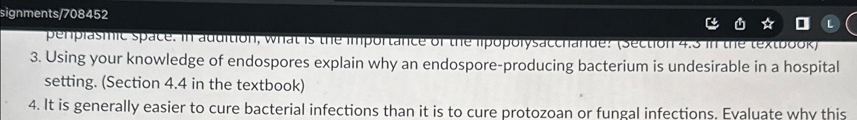Solved Using your knowledge of endospores explain why an | Chegg.com