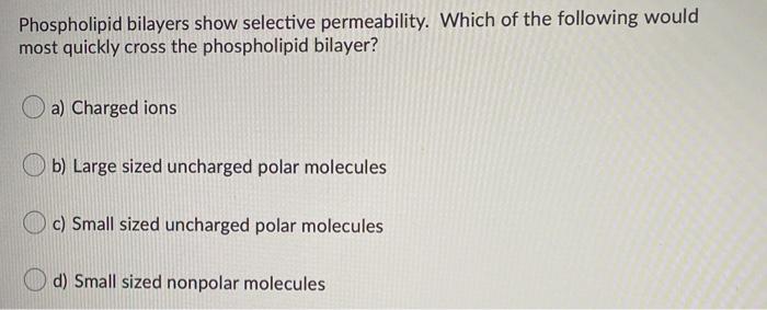 Solved Phospholipid bilayers show selective permeability. | Chegg.com