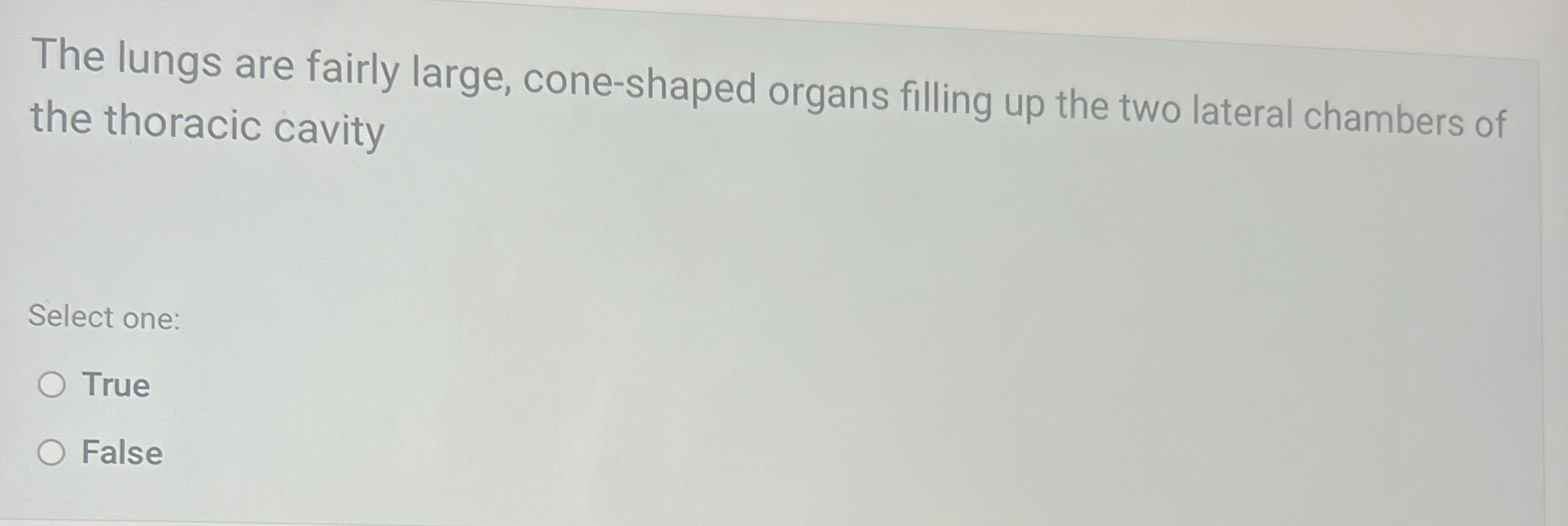 The lungs are fairly large, cone-shaped organs | Chegg.com