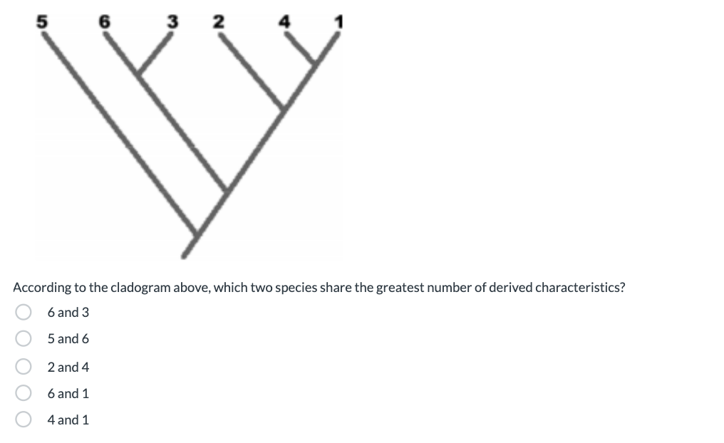 Solved According to the cladogram above, which two species | Chegg.com
