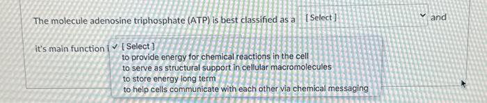 Solved The molecule adenosine triphosphate (ATP) is best | Chegg.com