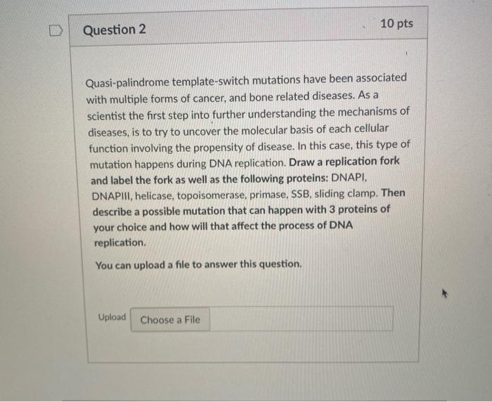Solved 10 pts Question 2 Quasi-palindrome template-switch | Chegg.com