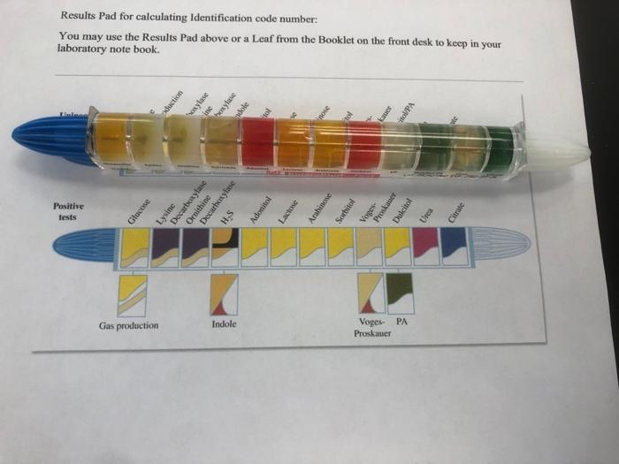 Solved FOR MICROBIOLOGY can someone please help me determine | Chegg.com