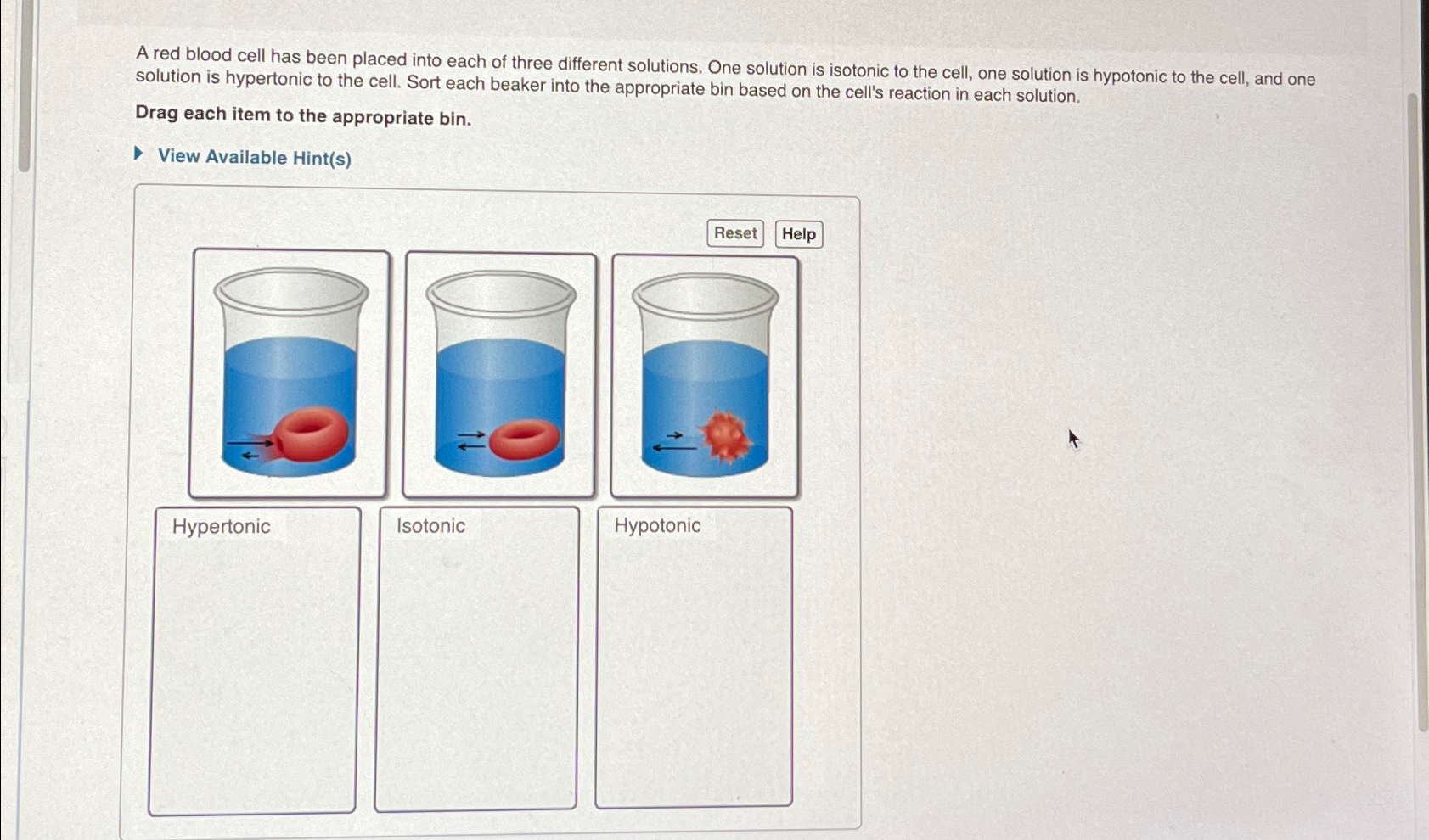 Solved A red blood cell has been placed into each of three | Chegg.com