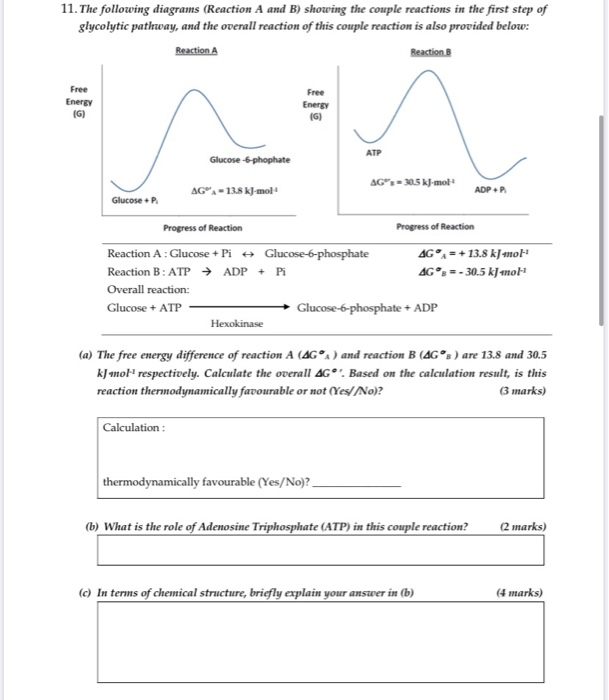 Solved 11. The following diagrams (Reaction A and B) showing | Chegg.com