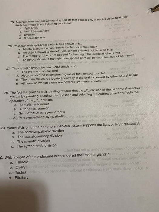 Solved 25. A person who has difficulty naming objects that | Chegg.com