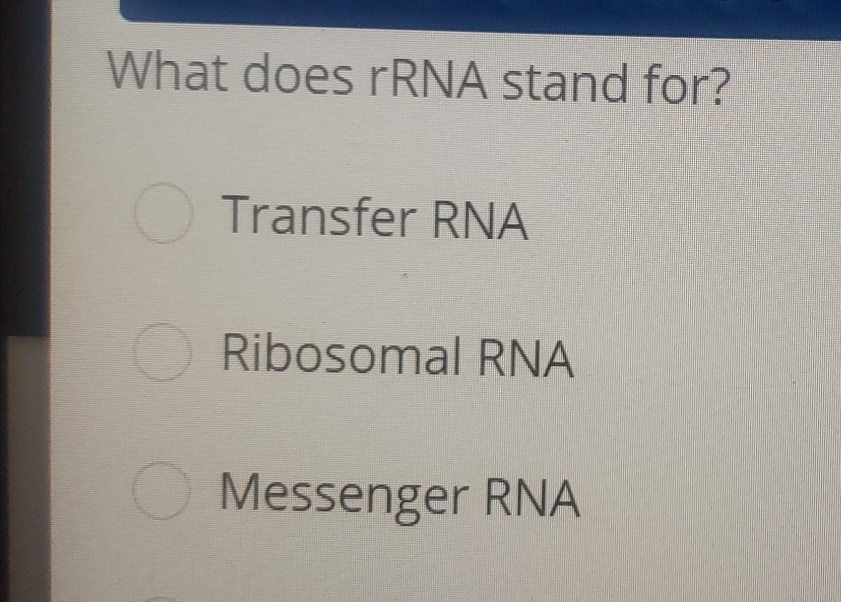 Solved What does rRNA stand for? Transfer RNA Ribosomal RNA | Chegg.com