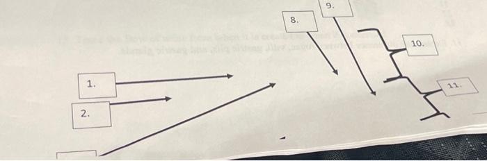 10. Label all parts of this diagram. | Chegg.com