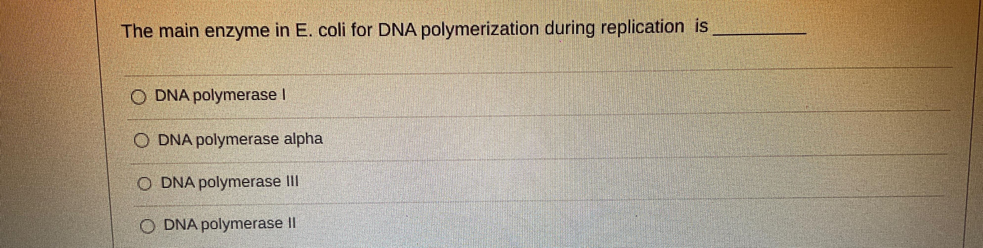 Solved The main enzyme in E. ﻿coli for DNA polymerization | Chegg.com