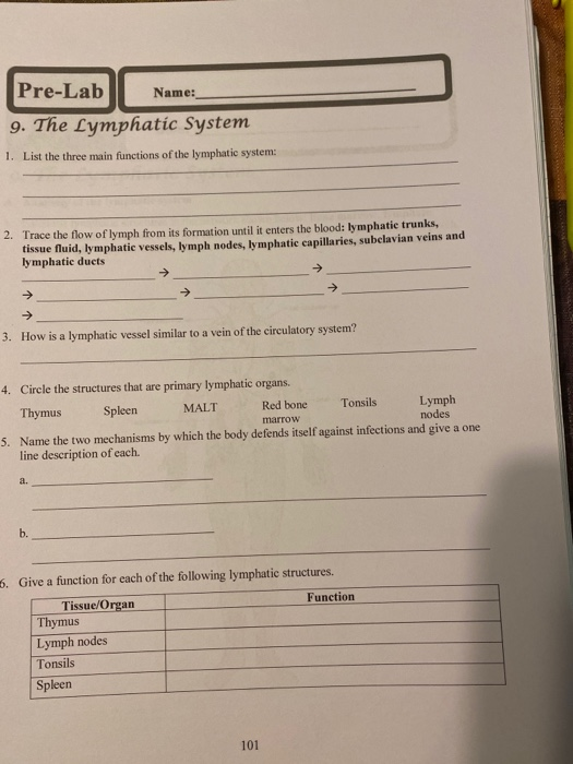 Solved Pre-Lab Name: 9. The Lymphatic System 1. List the | Chegg.com