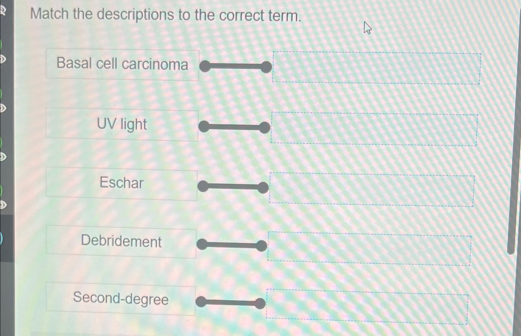 Solved Match the descriptions to the correct term.Basal cell | Chegg.com