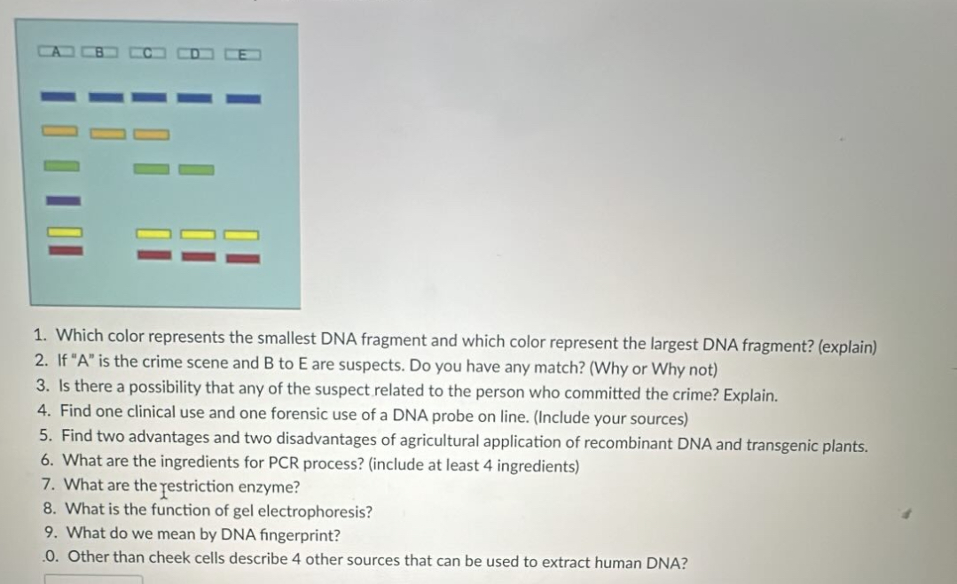 Solved Which color represents the smallest DNA fragment and | Chegg.com