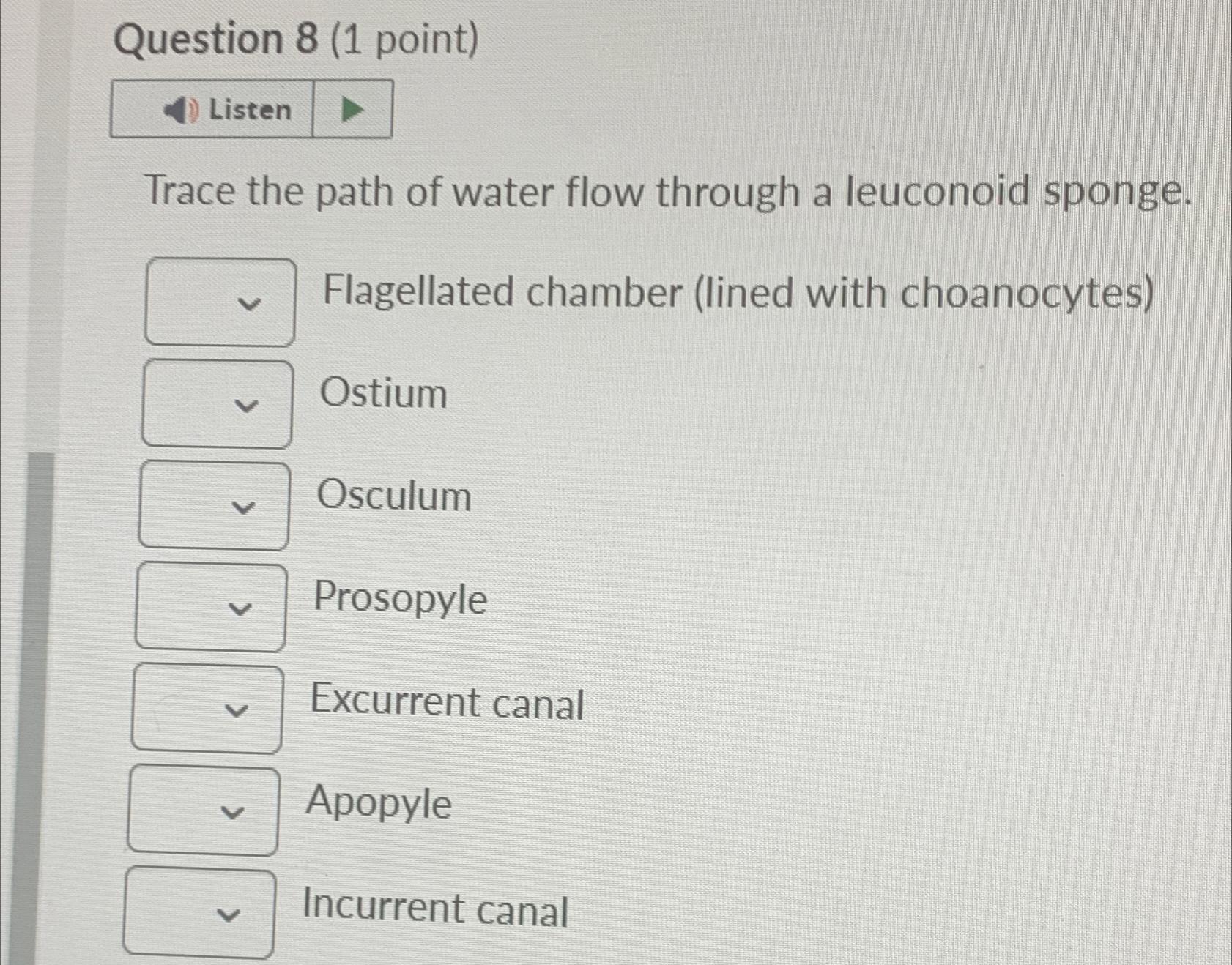 Solved Question 8 (1 ﻿point)Trace the path of water flow | Chegg.com