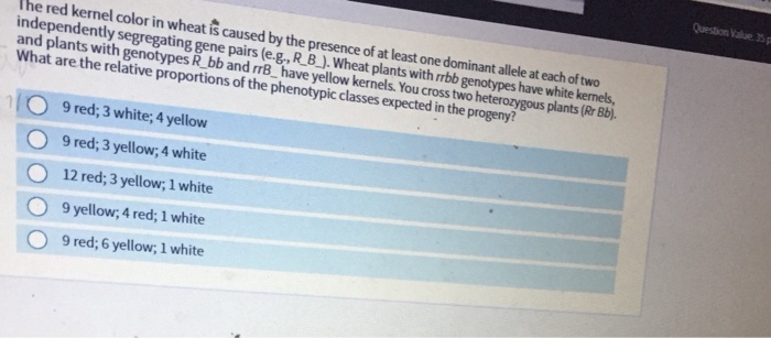 Solved The red kernel color in wheat is caused by the | Chegg.com