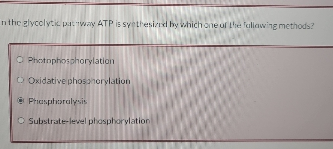 Solved n the glycolytic pathway ATP is synthesized by which | Chegg.com