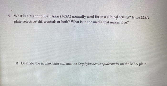 Solved 5. What is a Mannitol Salt Agar (MSA) normally used | Chegg.com