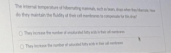 Solved The internal temperature of hibernating mammals, such | Chegg.com