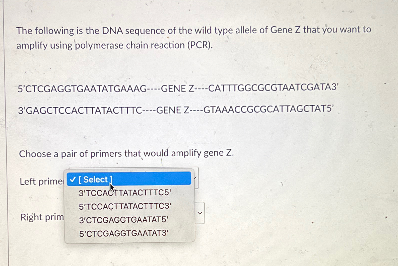 Solved The following is the DNA sequence of the wild type | Chegg.com