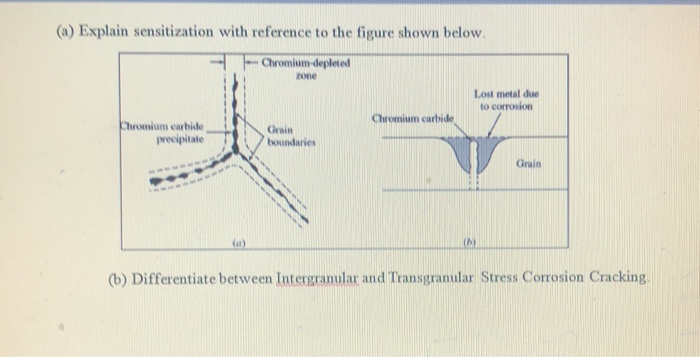 Solved (a) Explain sensitization with reference to the | Chegg.com